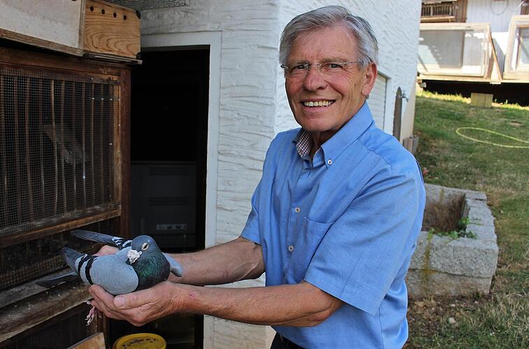 Älteste Brieftaube Deutschlands lebt in Etzelskirchen