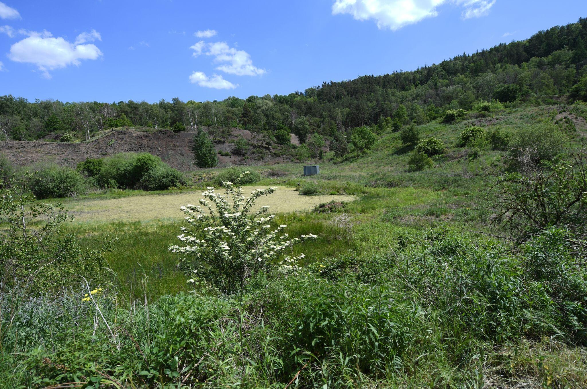 Unesco: Weltnaturerbestätten entscheidend für Artenschutz