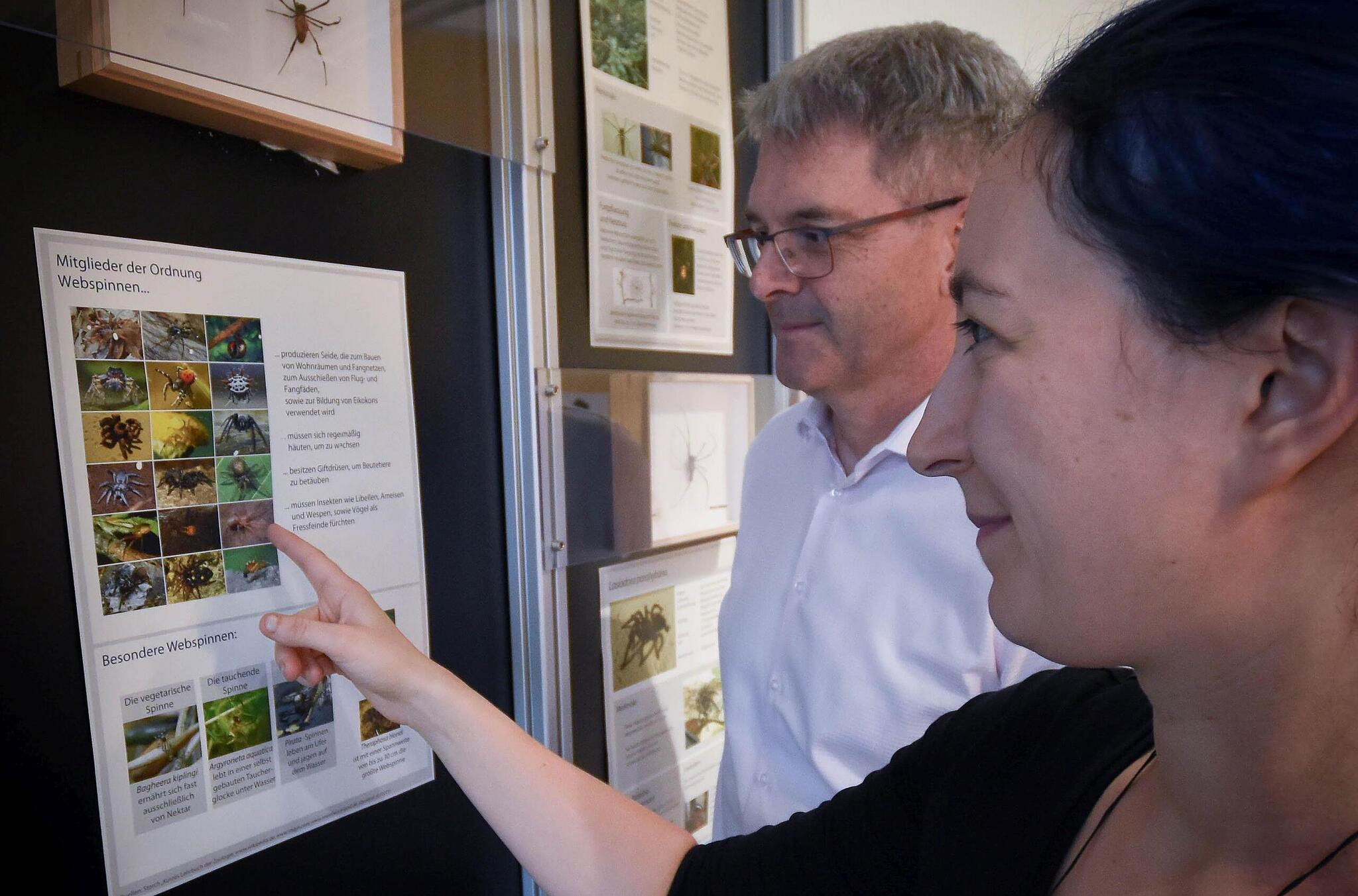 Forscher der Uni Bayreuth erforschen Stärke von Spinnenseide