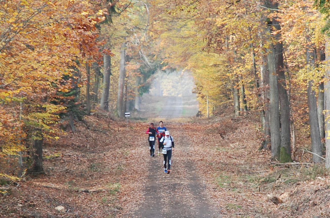 Volkslauf: Alle Informationen zur 19. Auflage des Zeiler Waldmarathons ...