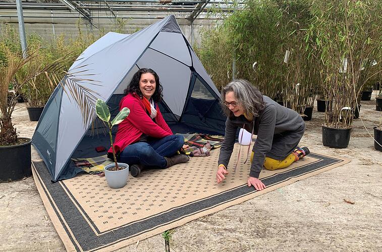 Münnerstadt: Kunstprojekt „else!3“ startet in den Gewächshäusern