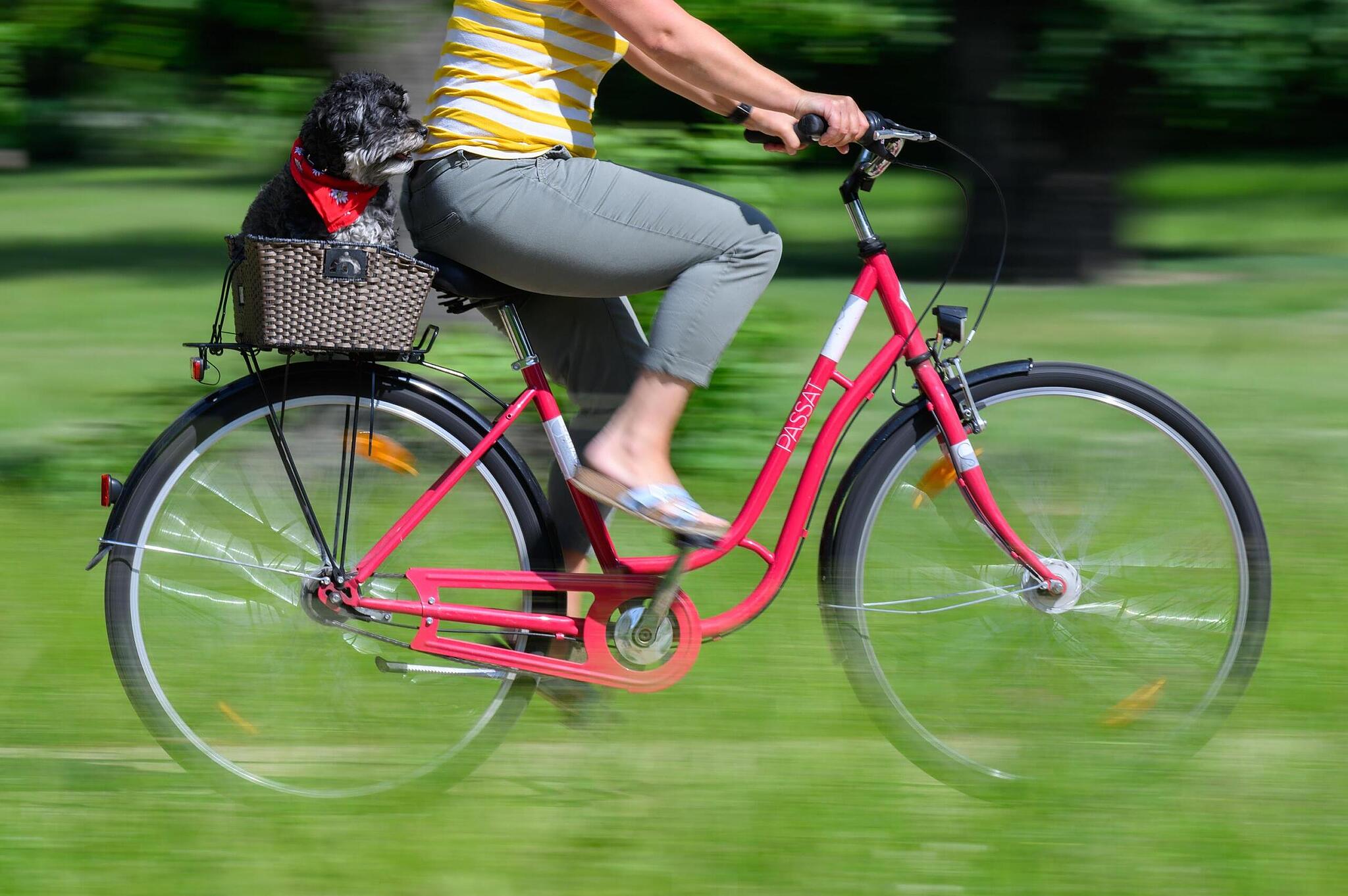 Der Landkreis ERH sammelt tausende Kilometer beim Stadtradeln