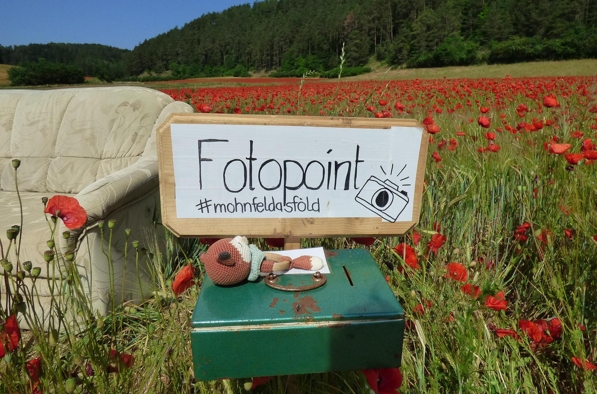 Außergewöhnlicher Fotospot im Mohnfeld entpuppt sich als wahrer ...