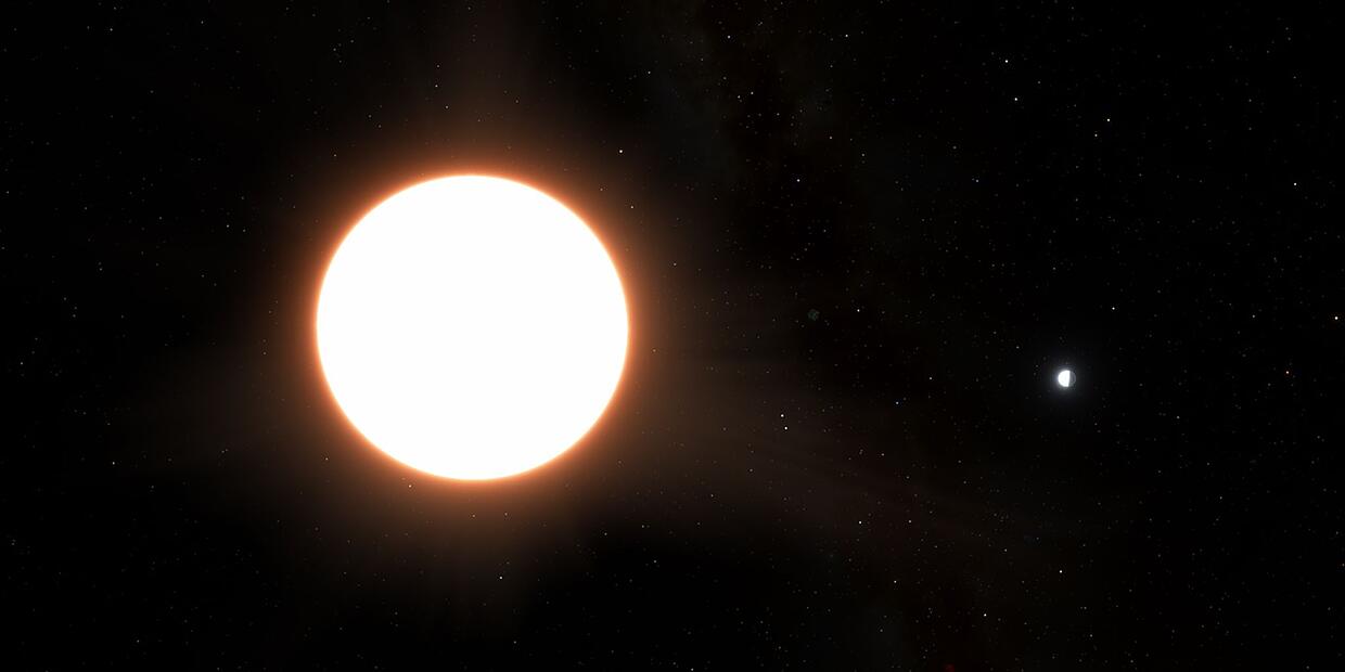 Exoplanet LTT9779b - Größter Spiegel des Universums