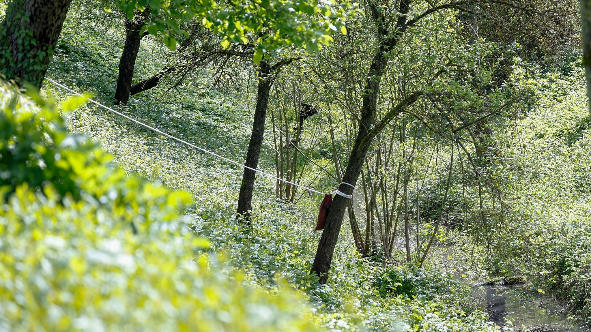 Tote Frau in Bachbett entdeckt: Hintergründe unklar