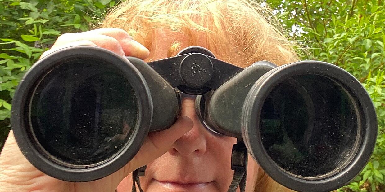 Am Rande: Warum es sich lohnt, Ausschau nach dem Bilch zu halten