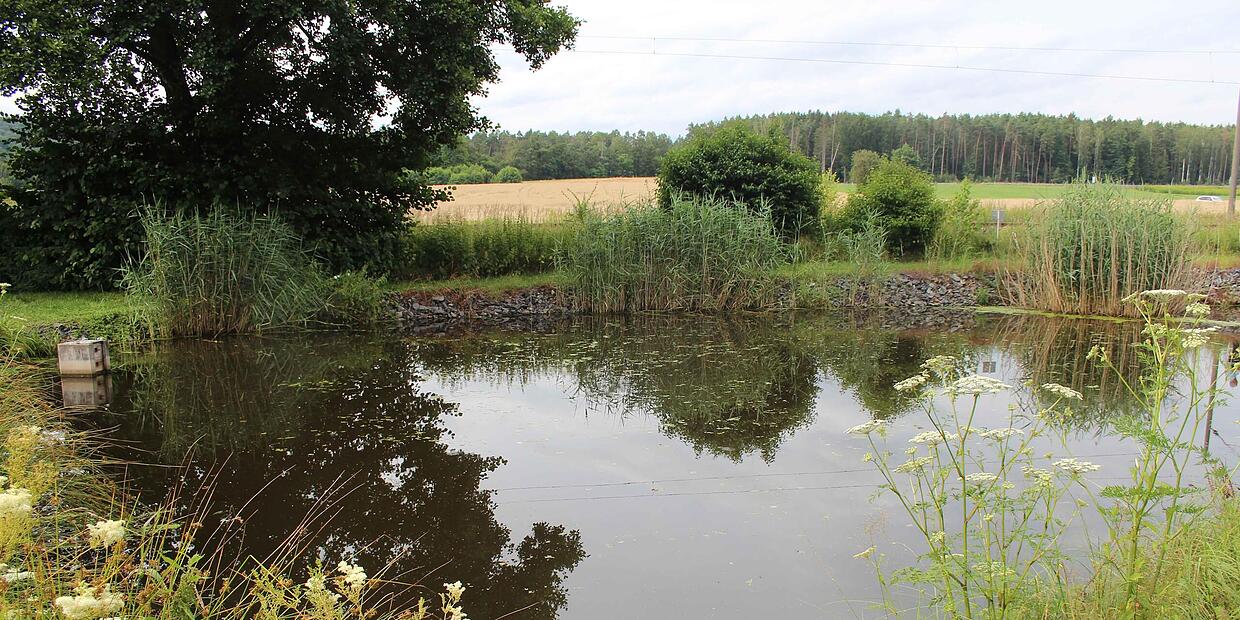 Culmone-Teich zwischen Mönchröden und Neustadt ist jetzt “Kulturgut Teich“