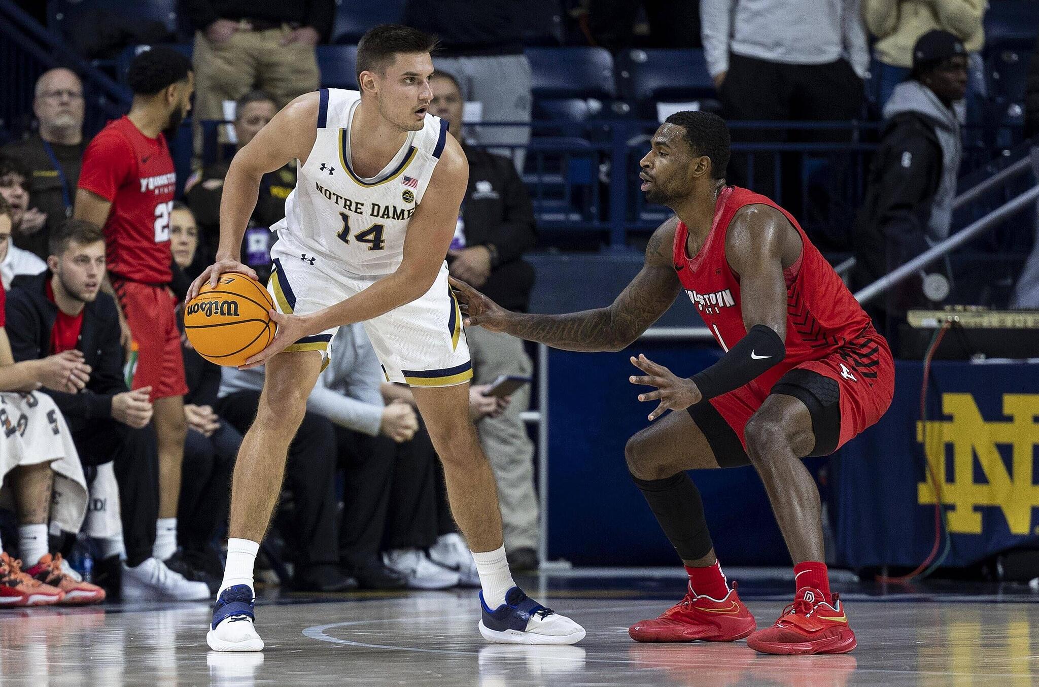 Basketball: Bamberg Baskets verpflichten US-Ameirkaner Adrian Nelson
