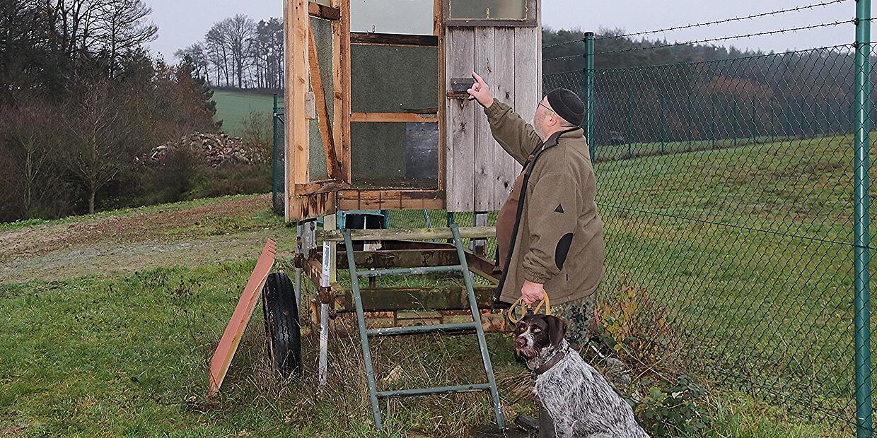 Wespen und Hornissen im Jägerstand von Thomas Oppelt aus Neuses am Raueneck