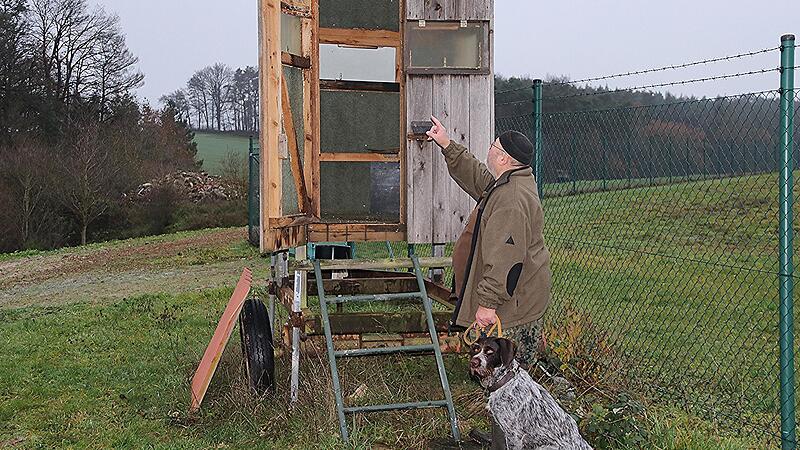 Wespen und Hornissen im Jägerstand von Thomas Oppelt aus Neuses am Raueneck