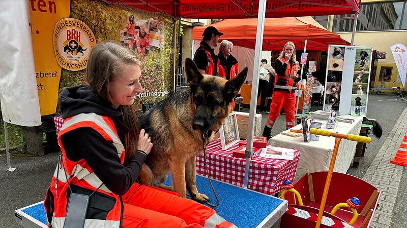 Blaulichtorganisationen veranstalten Tag der Jugend