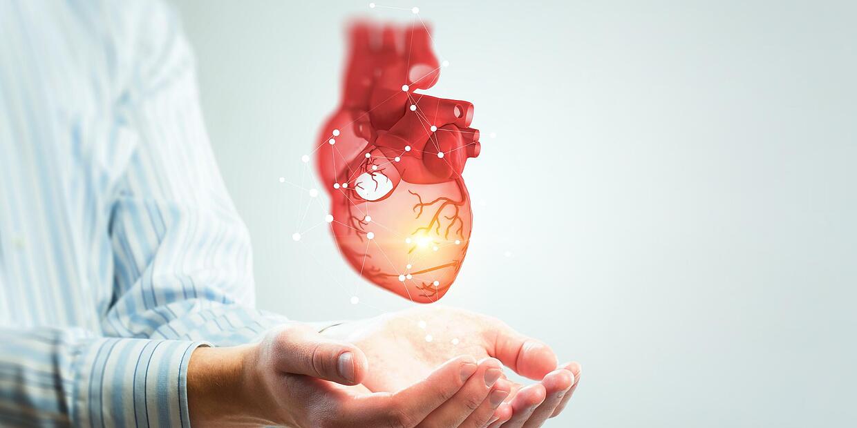 Chefarzt aus Bamberg gibt zehn Tipps für ein gesundes Herz