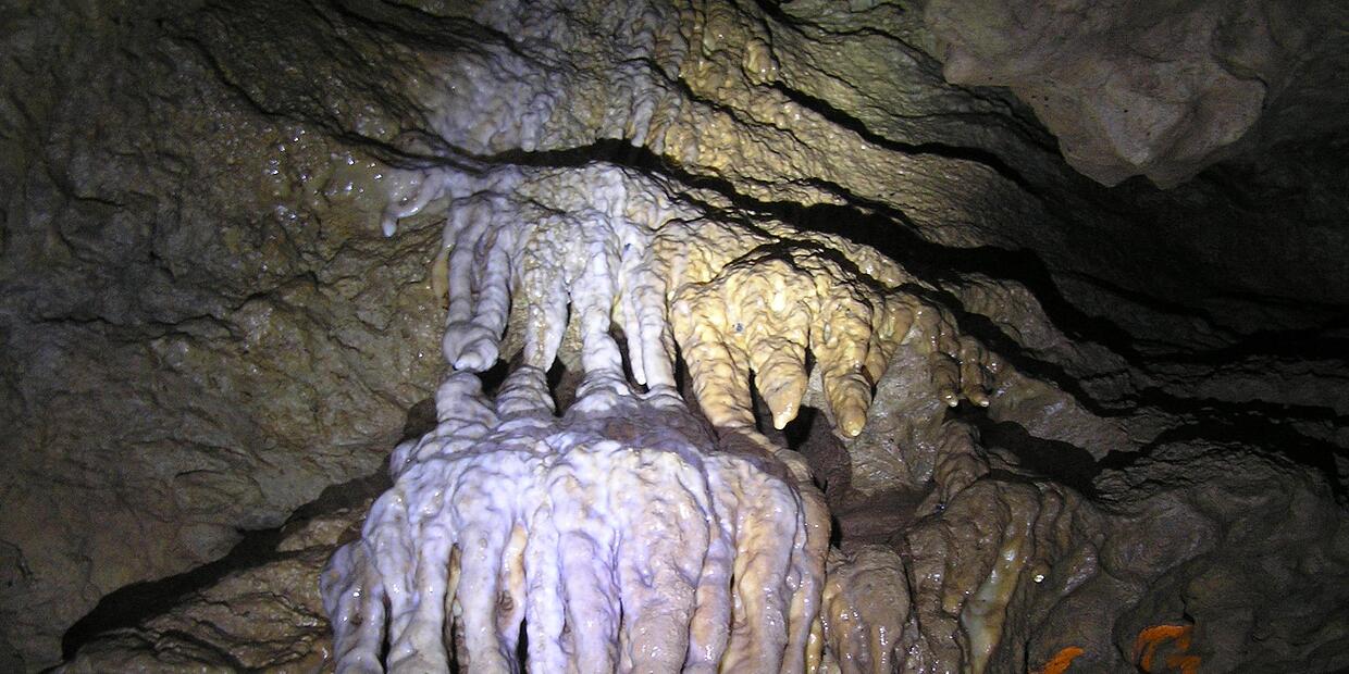 Dolinen in der Fränkischen Schweiz