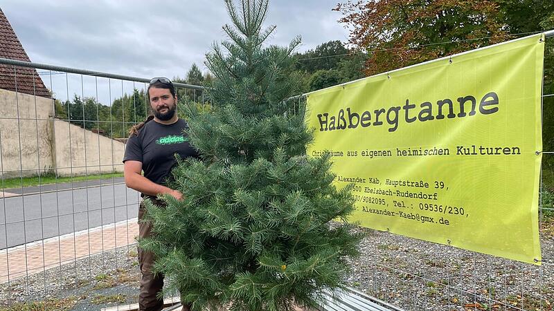 Eine Colorado-Tanne aus Rudendorf ist „Mister Weihnachtsbaum“