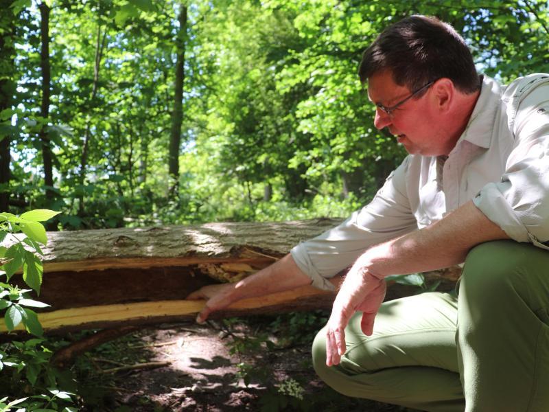 So schön ist der Nationalpark Unteres Odertal
