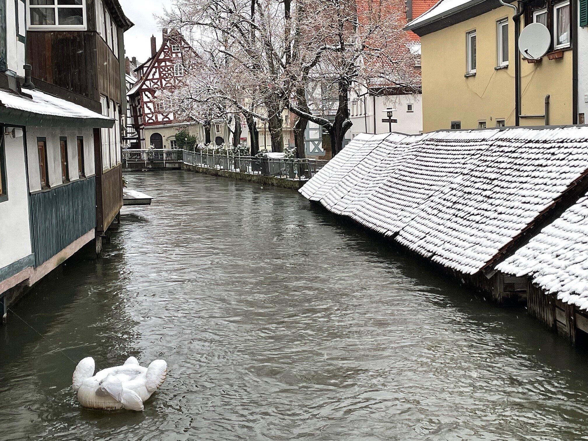 Die schönsten Leserfotos der Woche aus Forchheim und der Fränkischen Schweiz