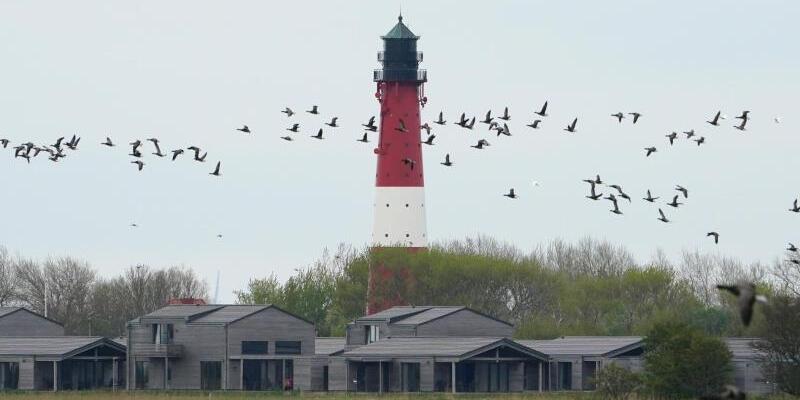 Pellworm im Schatten ihrer Schwestern
