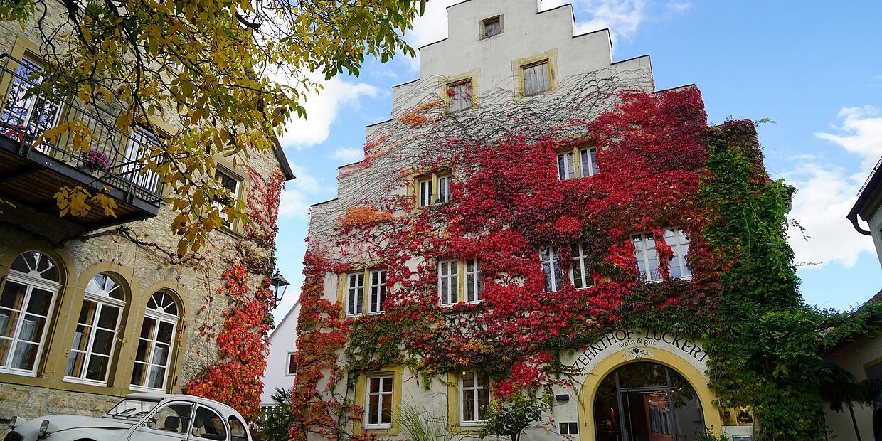 "Weingut des Jahres": Sulzfelder Winzerfamilie Luckert räumt immer ...