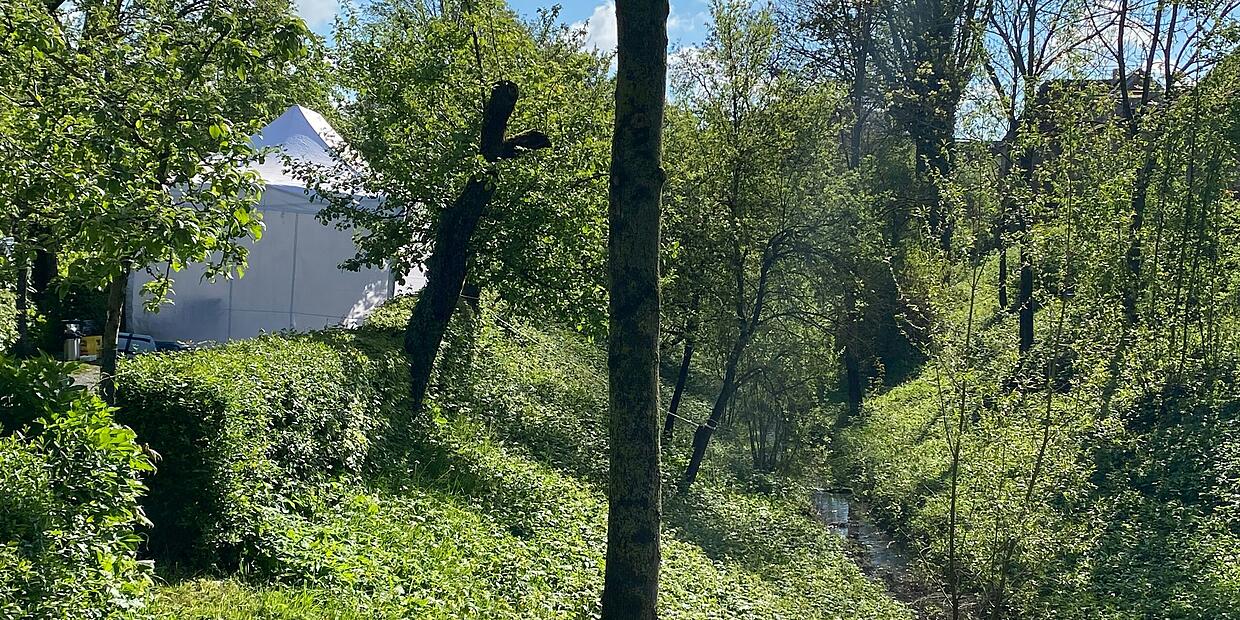 Leiche in Iphofen im Wehrbach gefunden: Passant entdeckt am ...