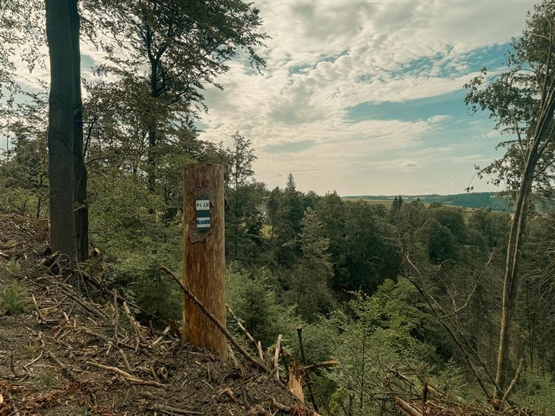 Wandern im Frankenwald: Rund um den Herrgottswinkel