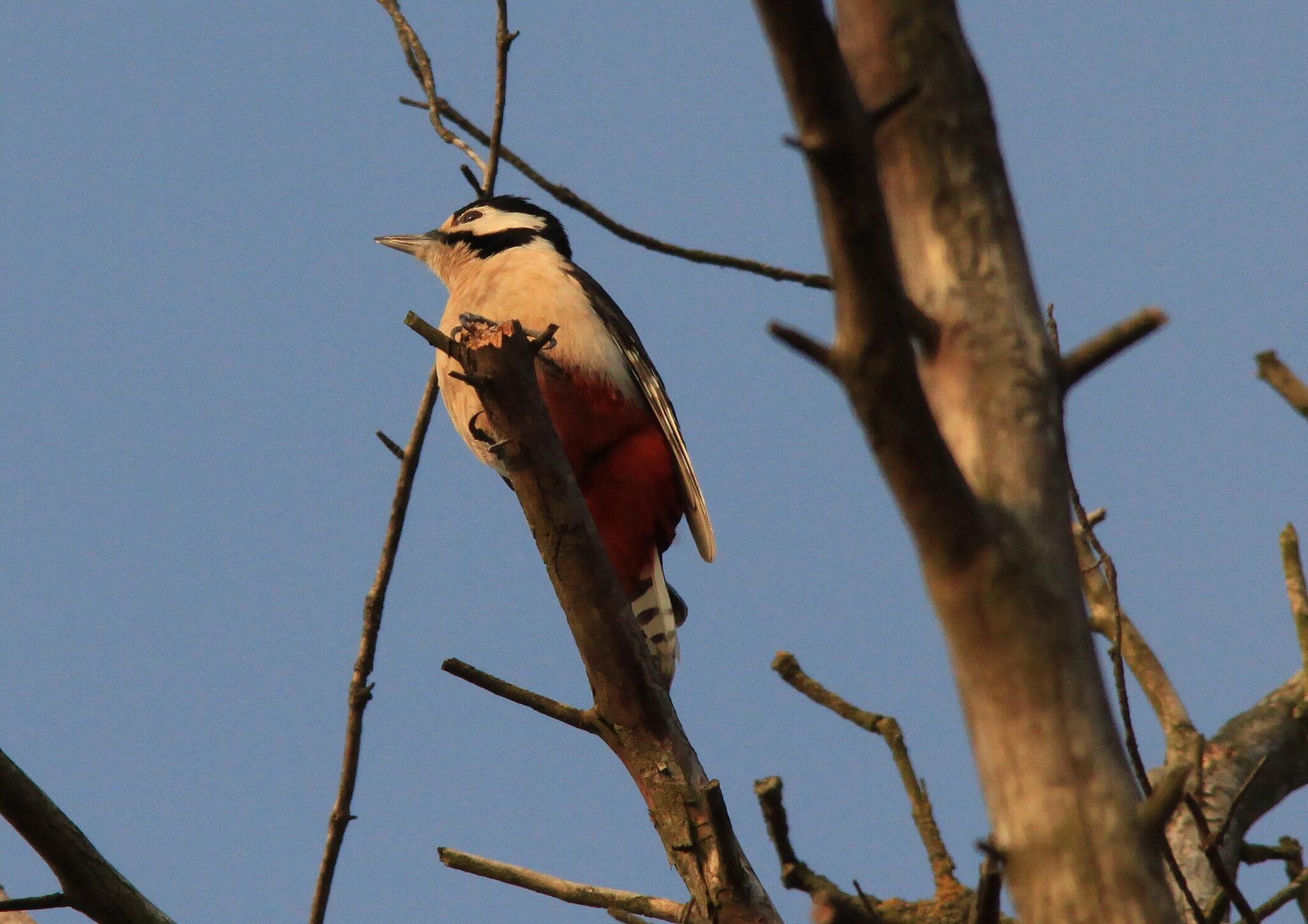 Lesergalerie: Die schönsten Fotos der letzten Wochen