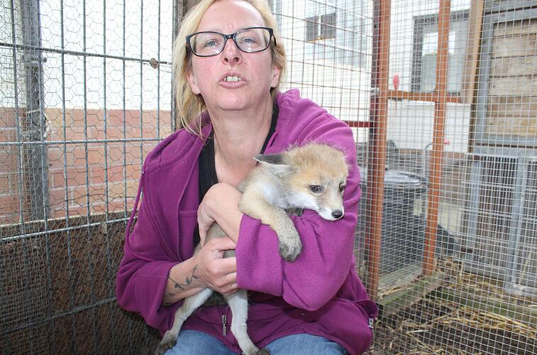 Tierheim Lichtenfels: Auffangstation für viele Wildtiere