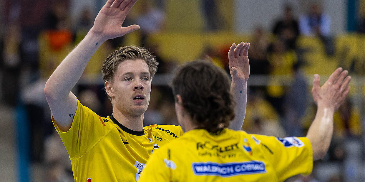 HSC Coburg - Eulen Ludwigshafen: Handball-Spielbericht