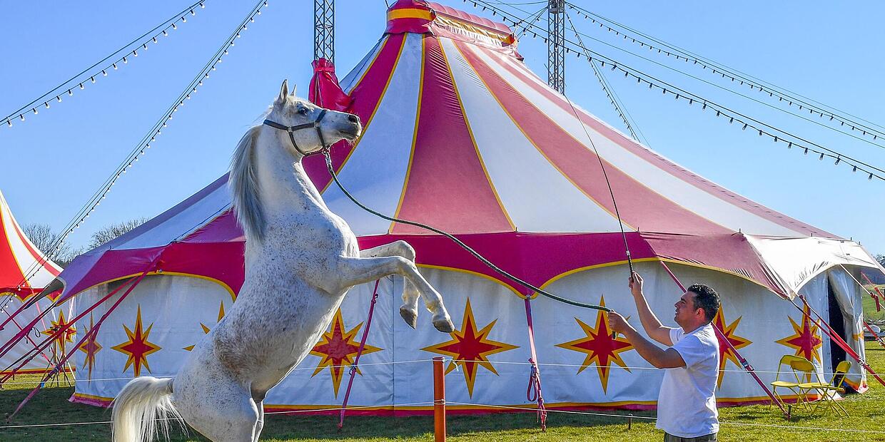 Memmelsdorf: Circus Corona feiert Comeback nach schwerer Zeit in der ...