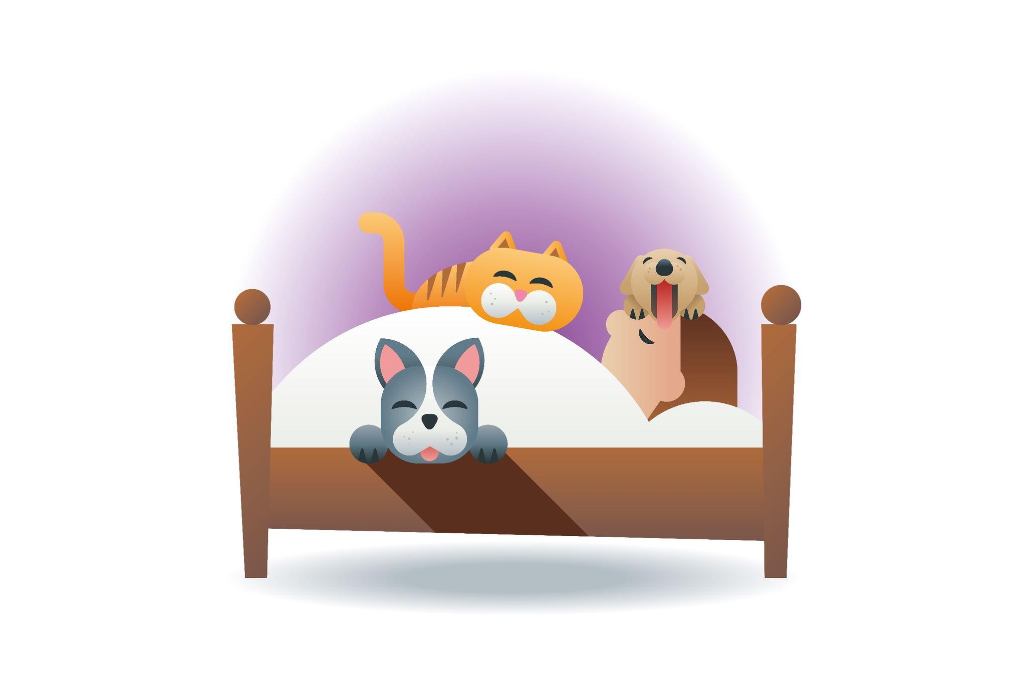 Soll Hund Oder Katze Mit Im Bett Schlafen