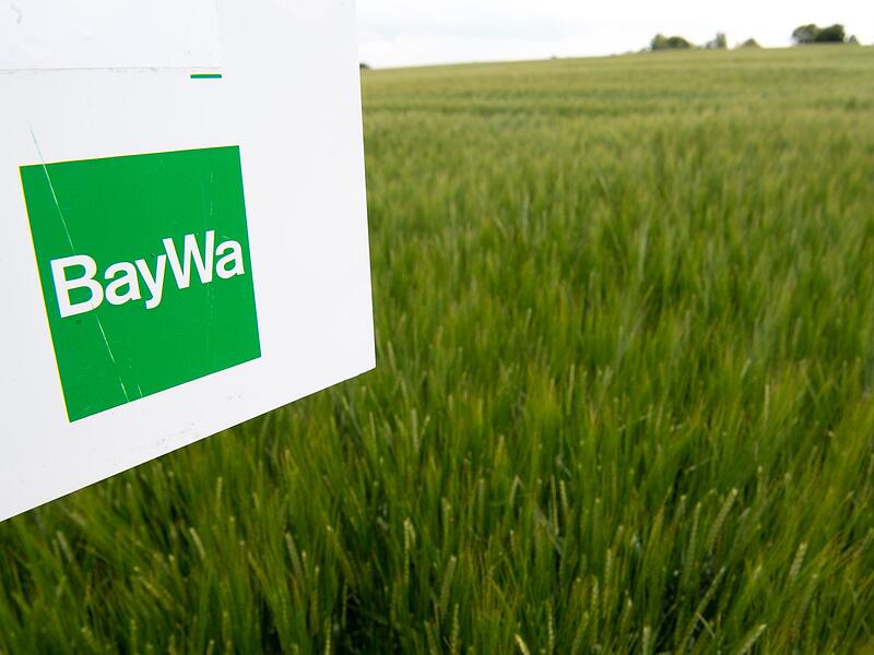 Baywa vereinbart Rettungsplan - erste große Schritte