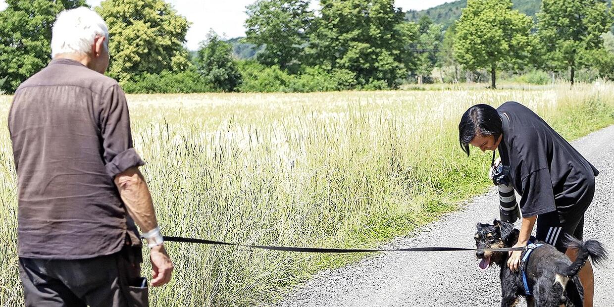 Vierbeiner stehen Model