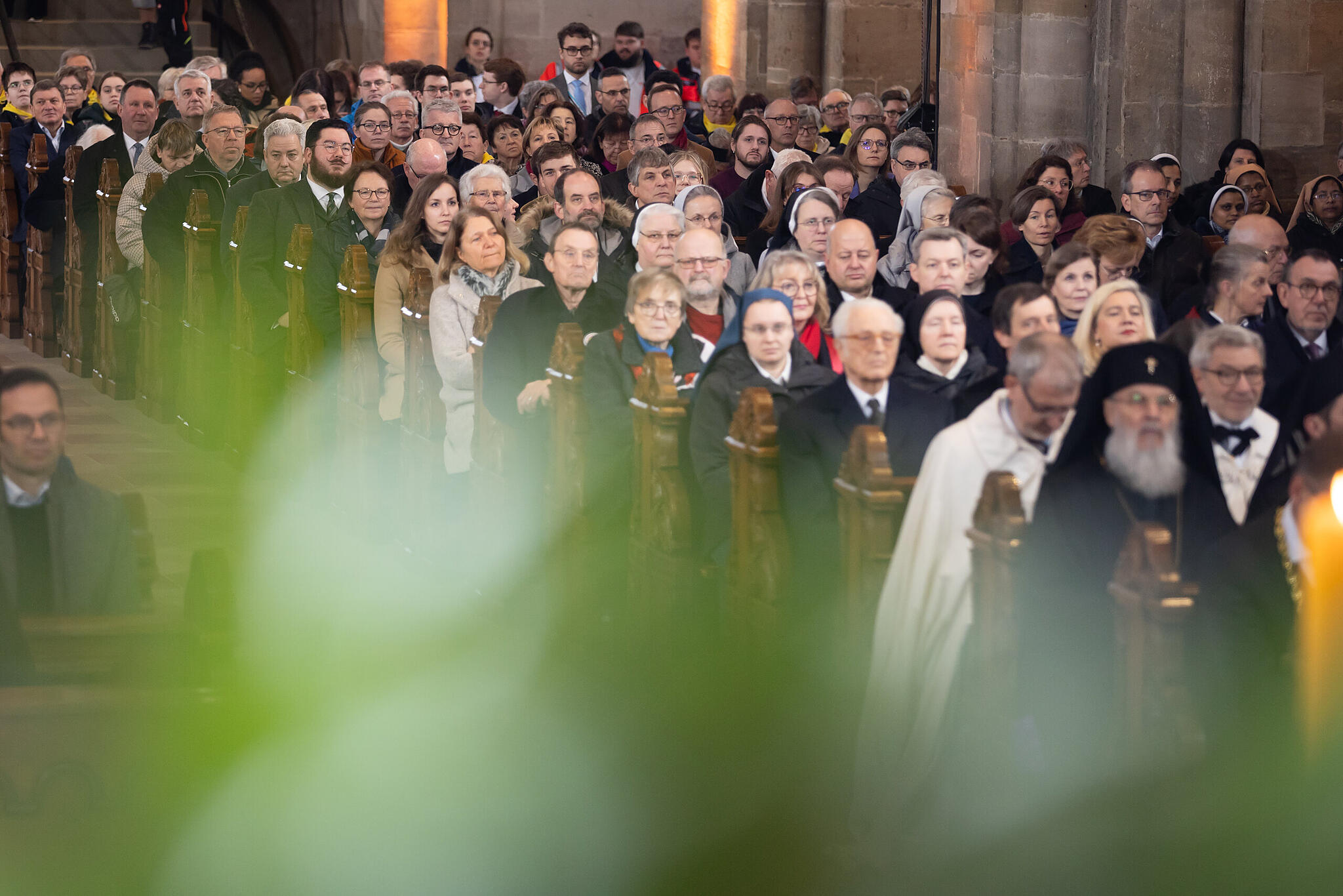 Bamberg: Fotos von der Amtseinführung von Erzbischof Herwig Gössl