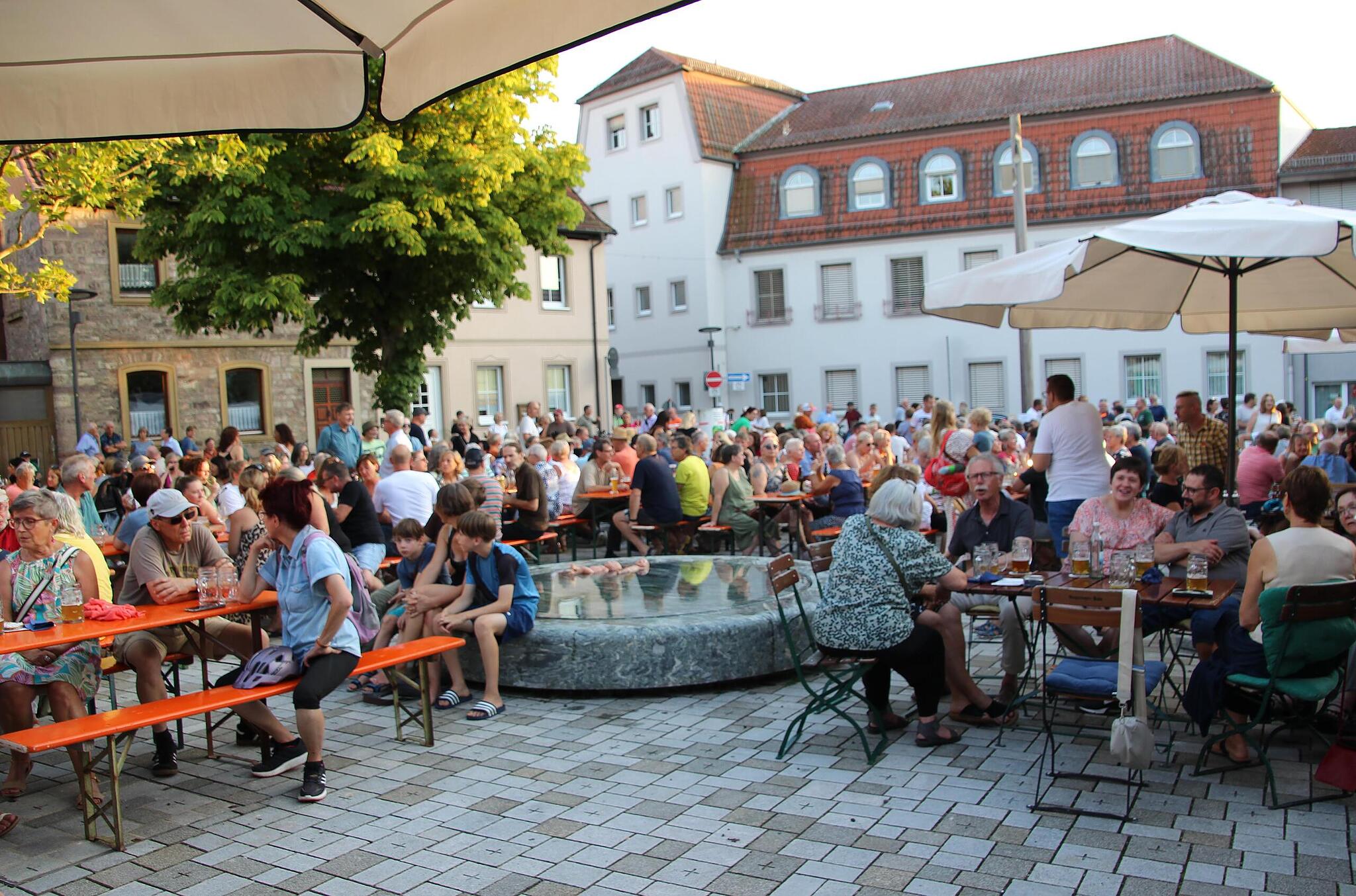 Die „King Green Band“ spielte in der Hamulissimo-Konzertreihe auf dem ...