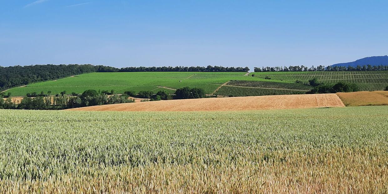 Sonderführung im Freilandmuseum Kirchenburg Mönchsondheim
