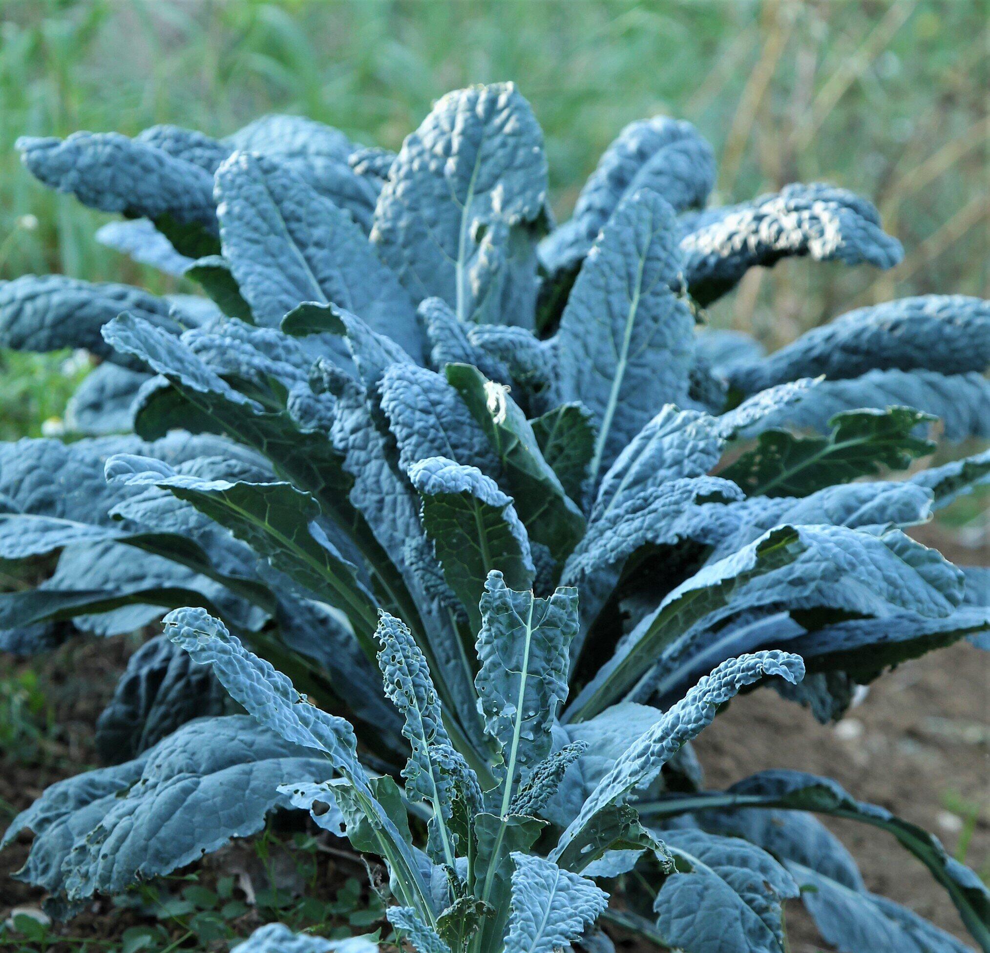 Herbst ist Erntezeit