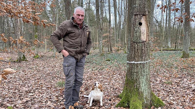 Ein Pionier der Nachhaltigkeit: Hans Stark hat den Klimawald geschaffen