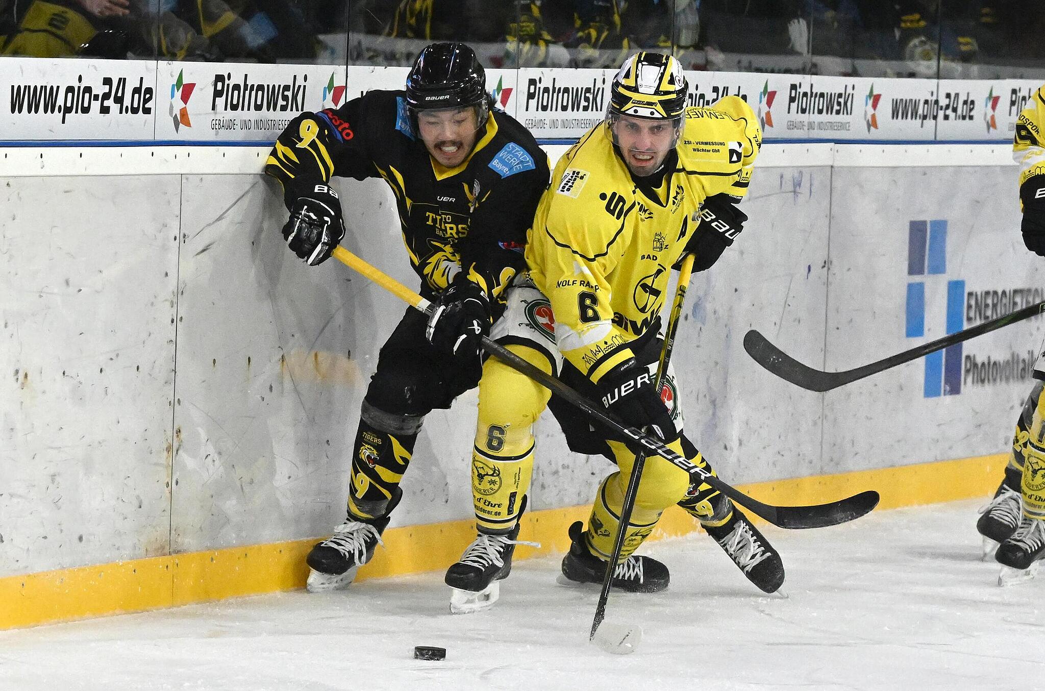 Eishockey, Oberliga Süd: Bayreuth Tigers empfangen Bietigheim Steelers