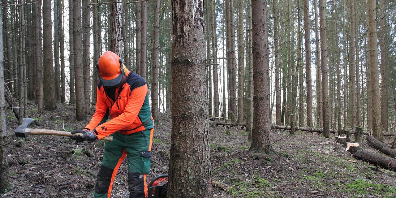 Als Forstwirt muss man vor allem eines: Spaß an der Arbeit in der ...