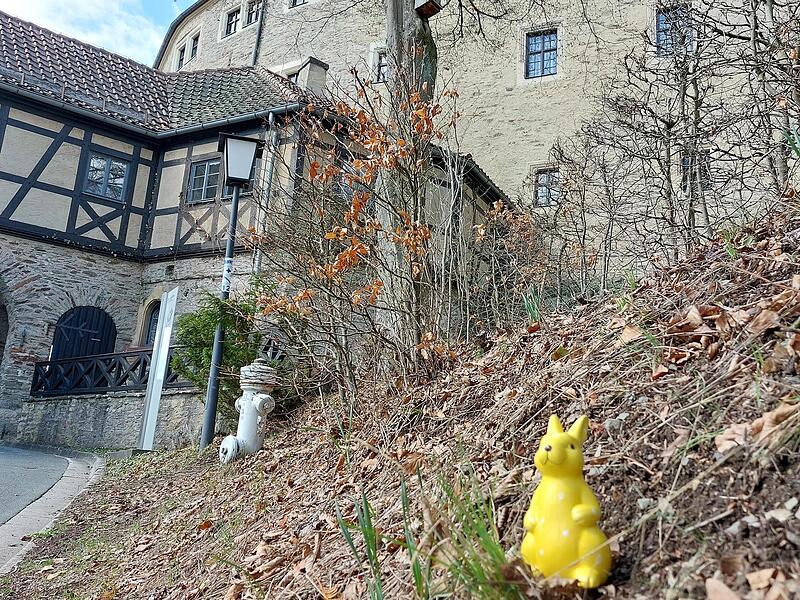 Flopsi ist durch den Landkreis Kronach gereist nur erinnert er sich ...