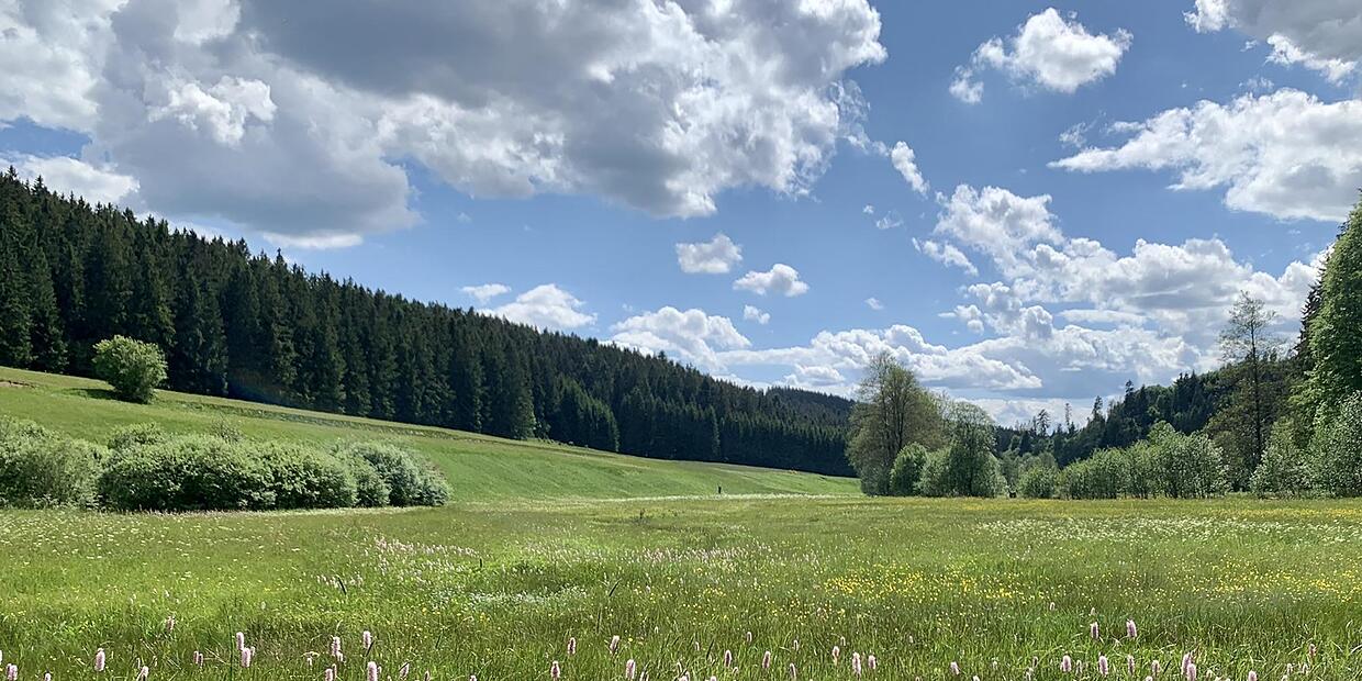 Der Naturpark Frankenwald wird 50 Jahre alt welche verborgenen Schätze ...