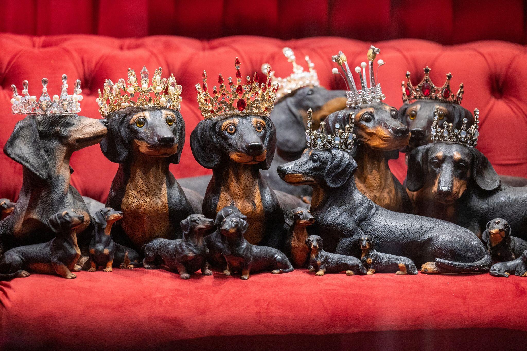 Das Dackelmuseum feiert Neustart in Regensburg