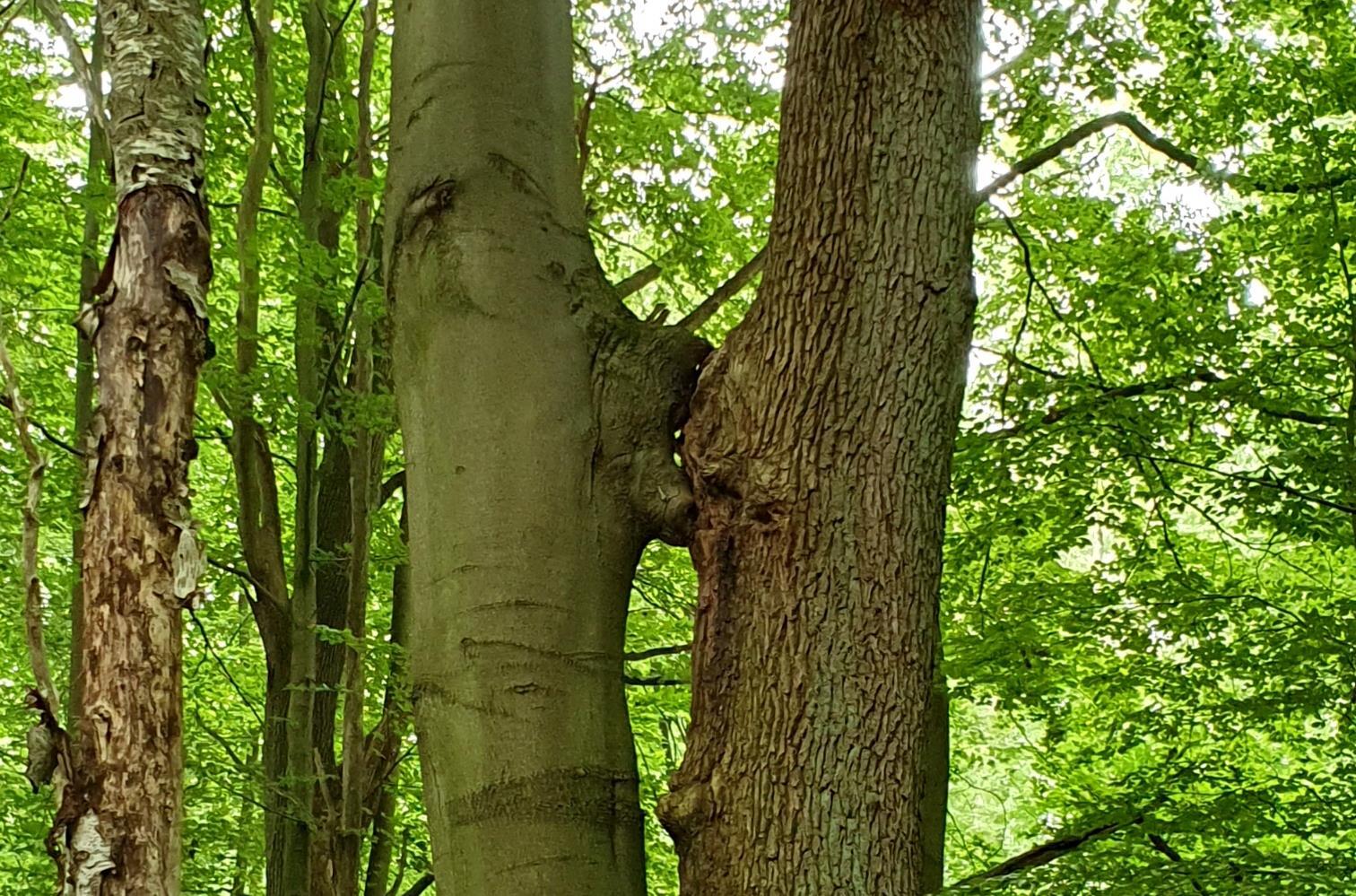 Christine Fischer und Sandra Zeitler aus Kulmbach gehen den ...
