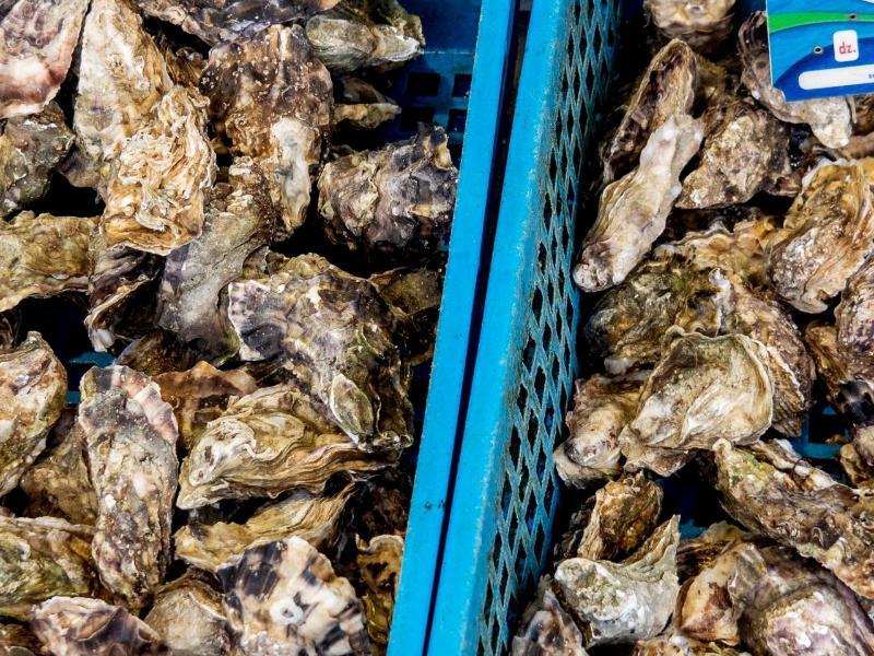 Roadtrip entlang der französischen Atlantikküste