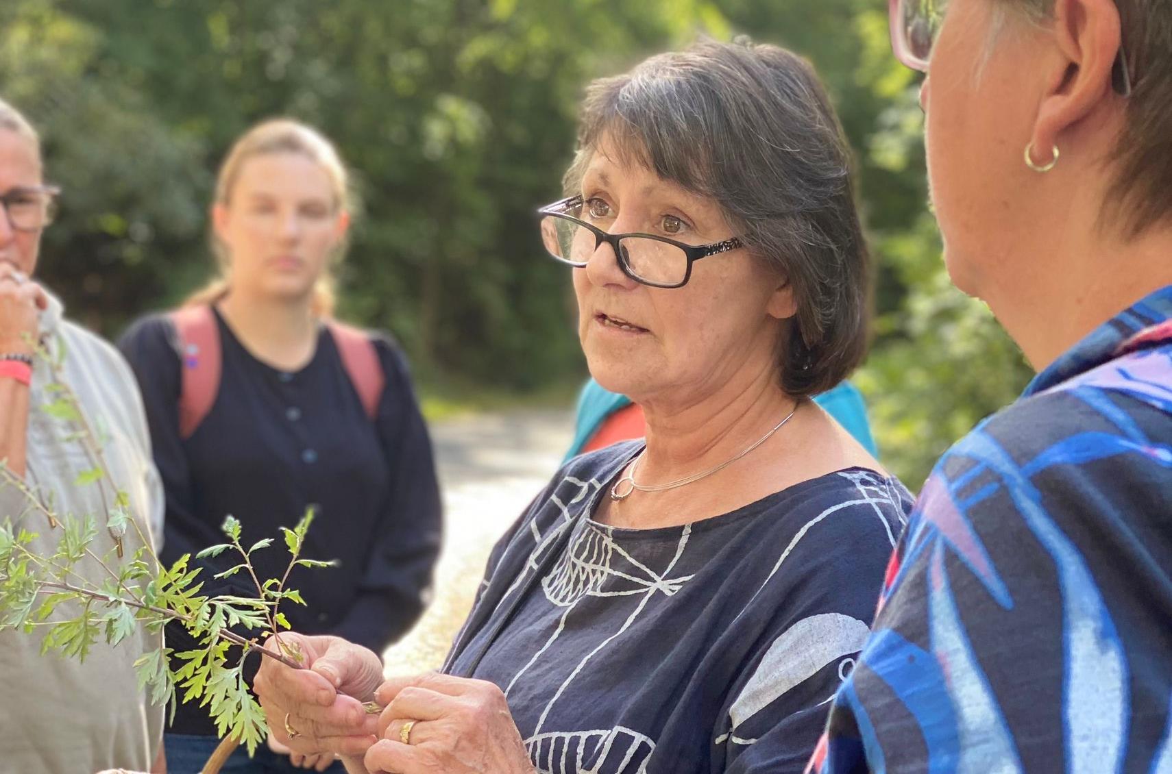 Kräuter sind vielseitig: Der Obst- und Gartenbauverein Sand am Main ...