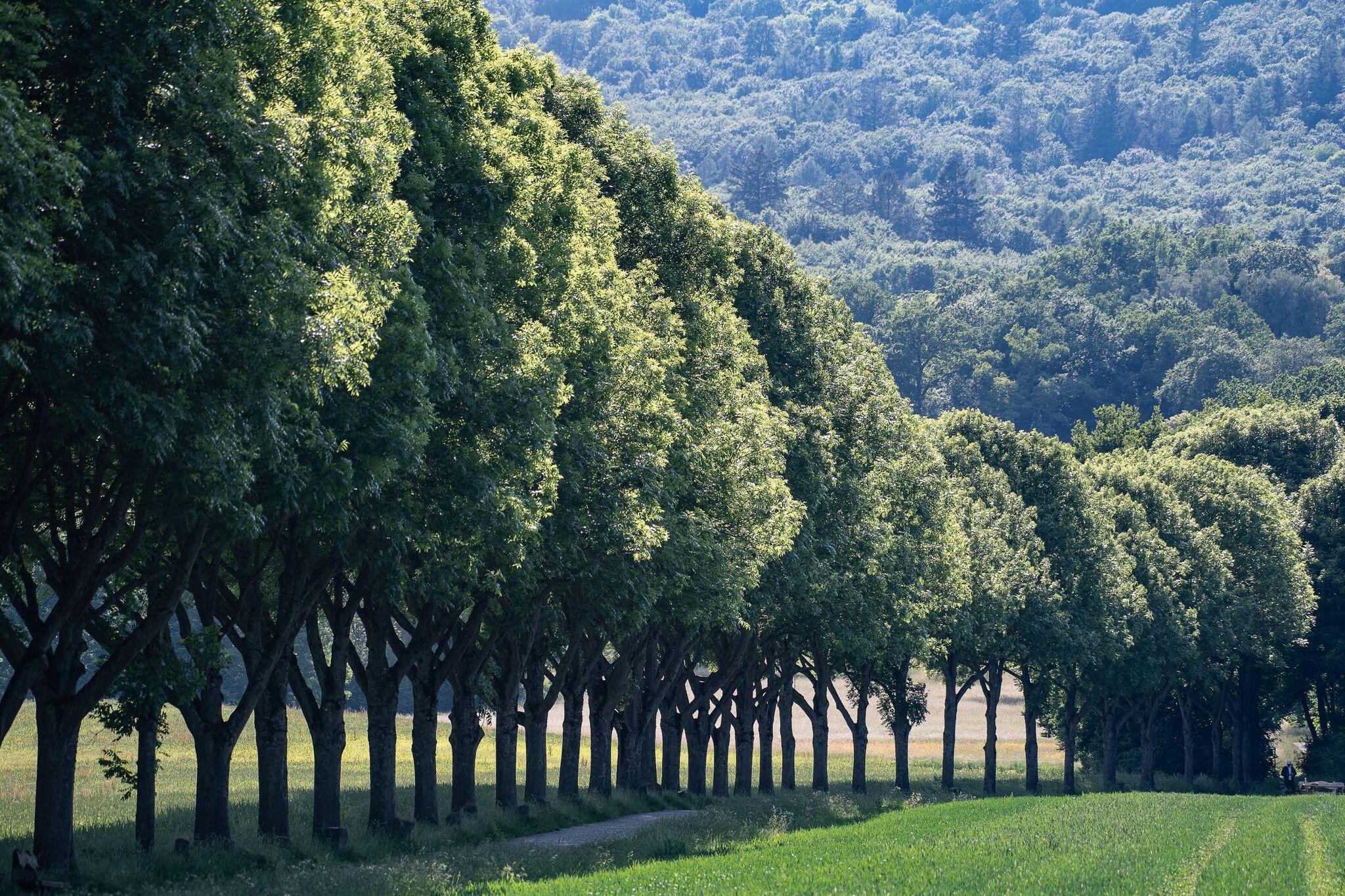 Meilensteine aus vielen Jahren documenta in Kassel