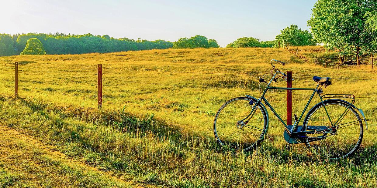 Energieserie: Warum Bio-Bike besser ist als E-Bike