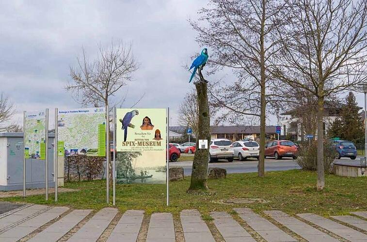 Das Spix-Museum sorgt im Höchstadter Stadtrat für eine Debatte um die ...