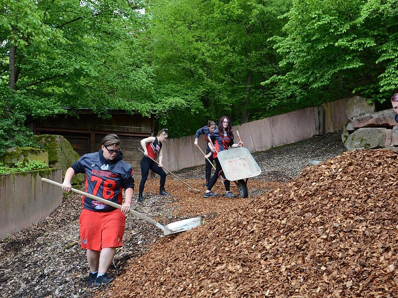 Footballerinnen aus Herzogenaurach engagieren sich für Nashorn-Dame