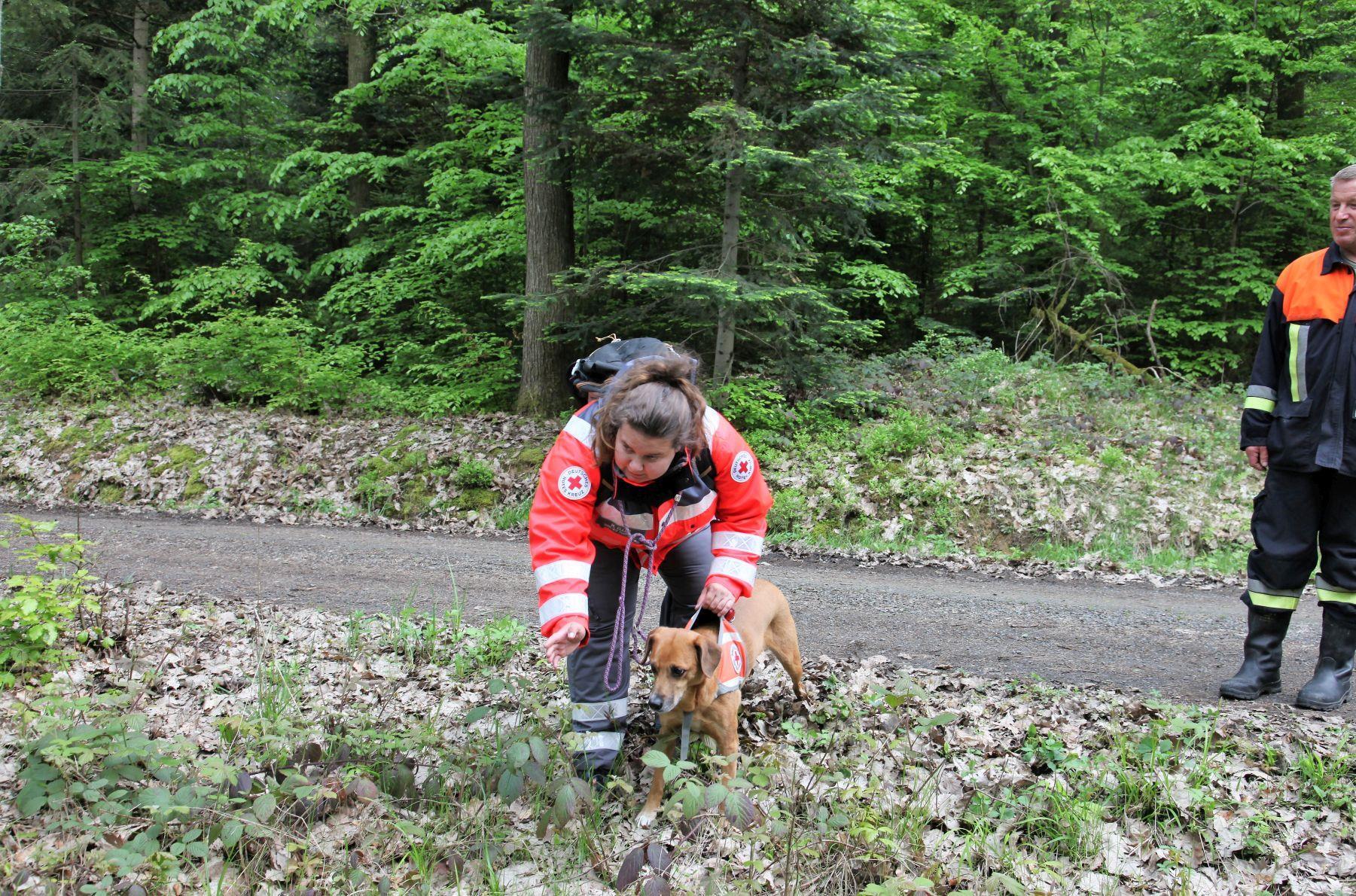 Große Rettungsaktion: Über 80 Einsatzkräfte und 22 Rettungshunde suchen ...