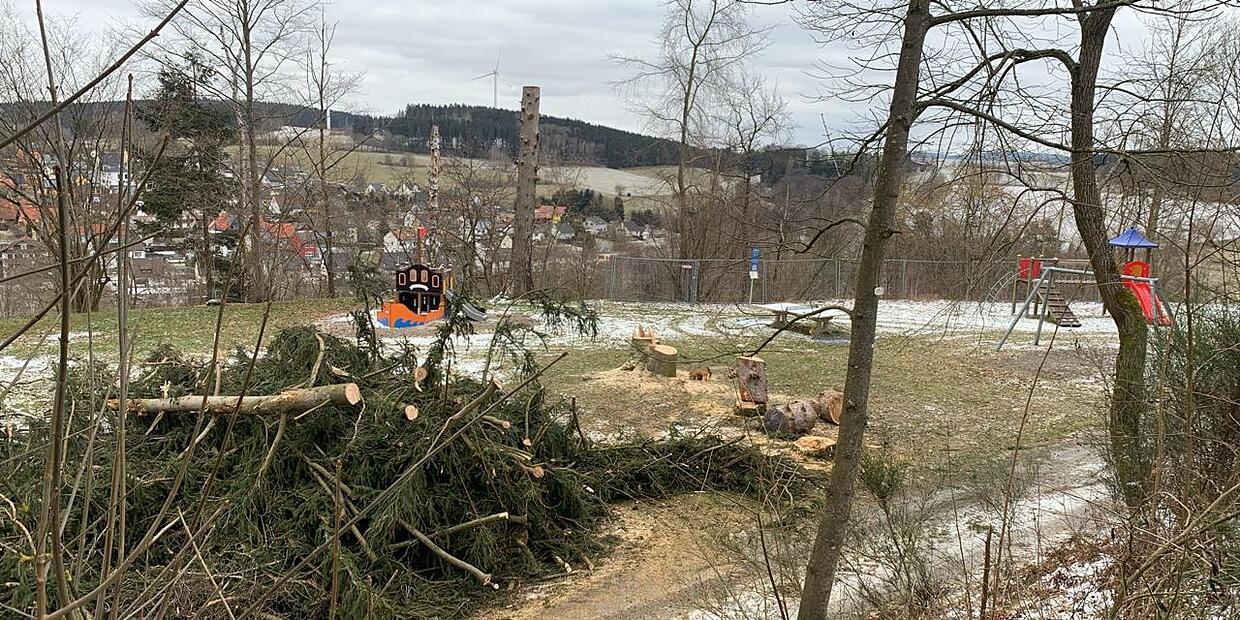 Marktschorgast: Bäume sorgen für Zwist